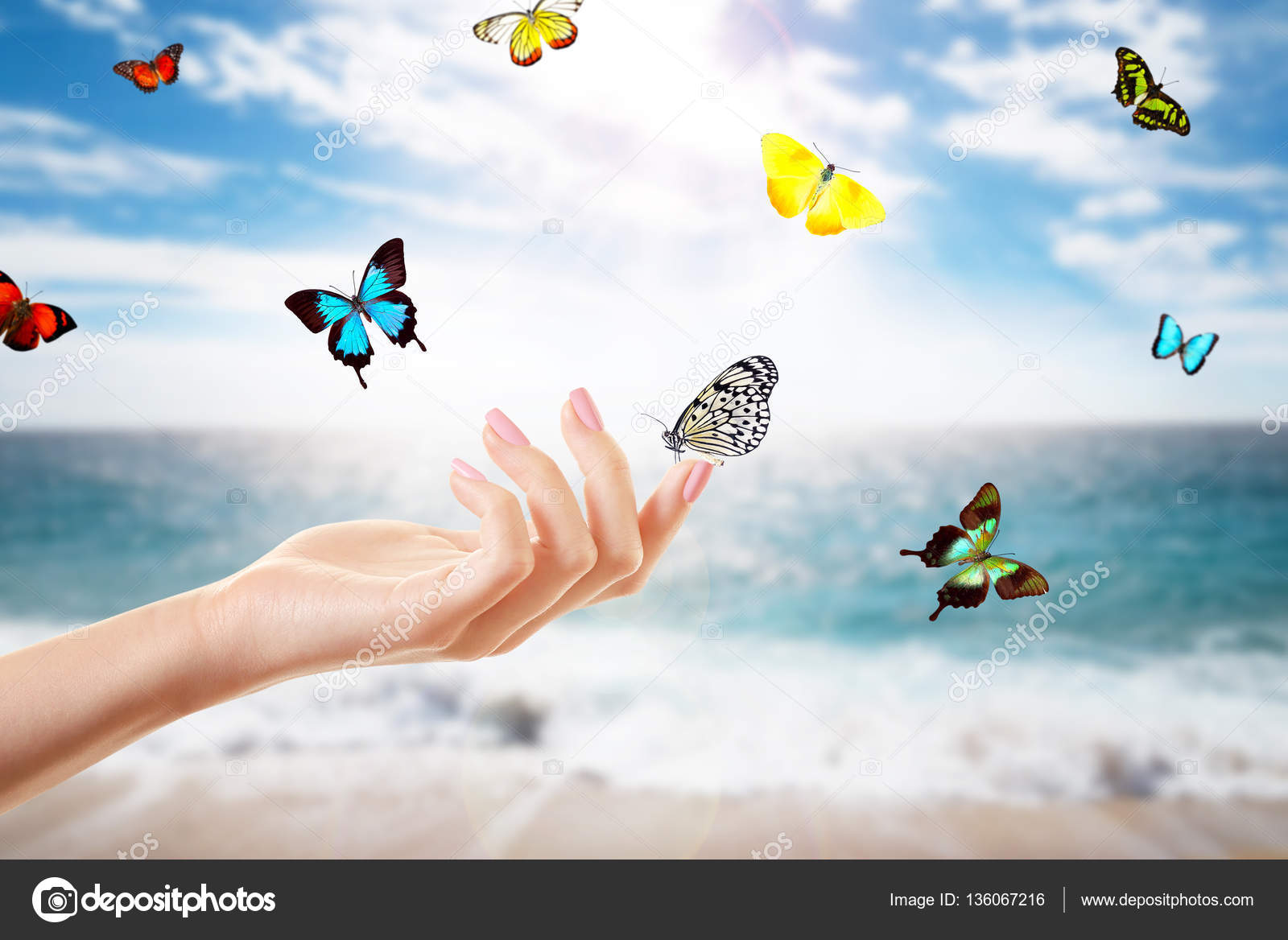 Female hand and butterflies — Stock Photo © belchonock #136067216
