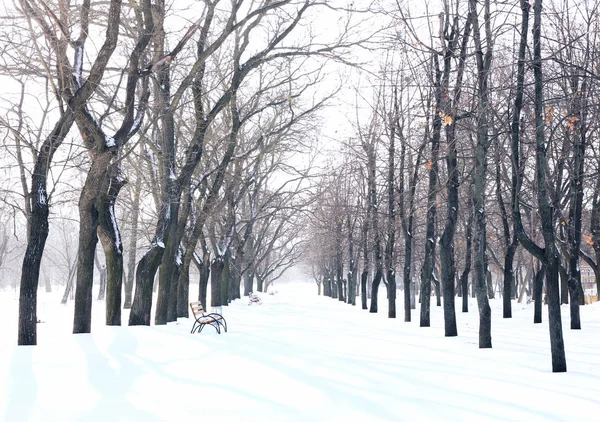 Winter scenes Stock Photos, Royalty Free Winter scenes Images ...