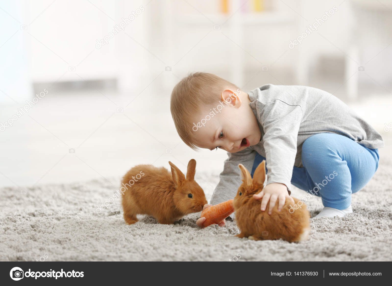 Cute little boy feeding rabbits with carrot at home — Stock Photo ... Cute little boy feeding rabbits with carrot at home — Stock Photo ...