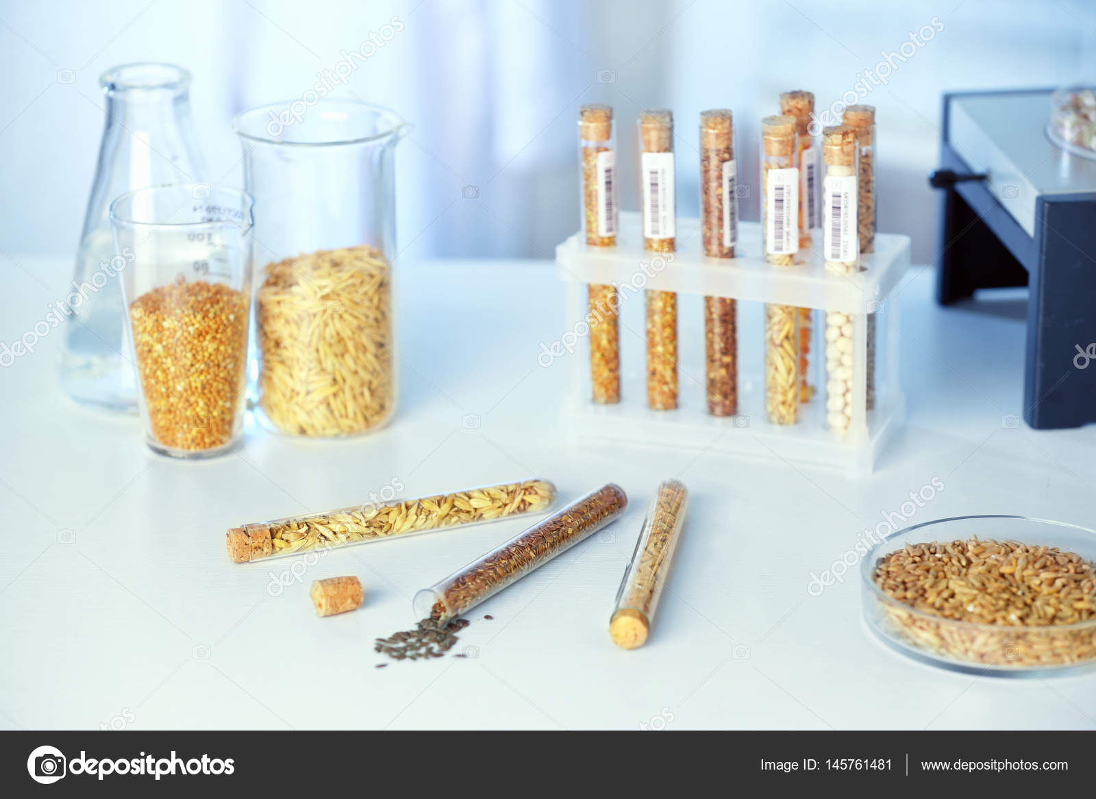 Cereals in laboratory glassware Stock Photo by ©belchonock 145761481