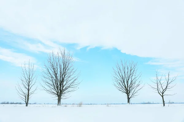Beautiful winter landscape with trees — Stock Photo © belchonock #146186741
