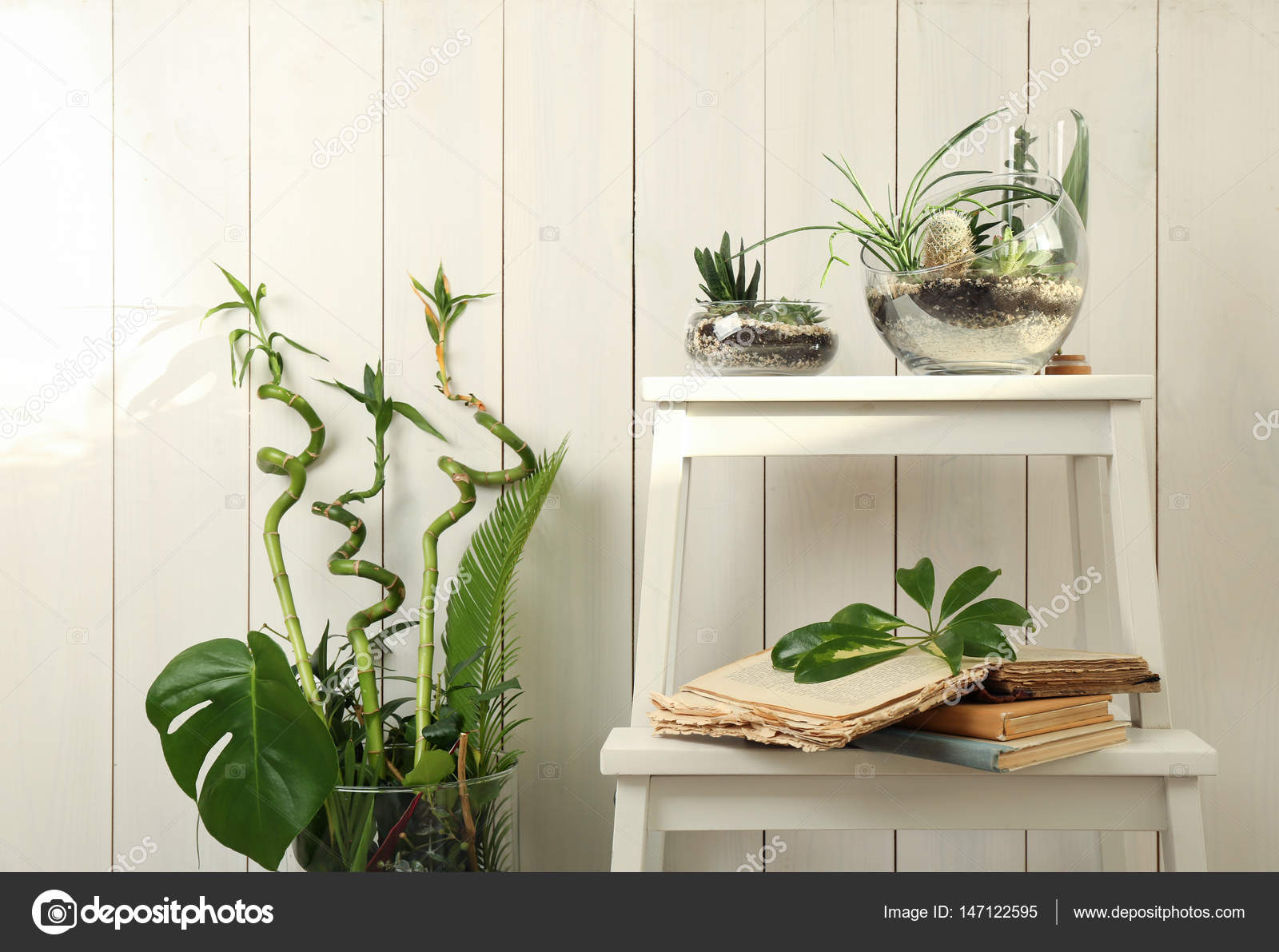 Florarium with succulents and cactus — Stock Photo © belchonock #147122595