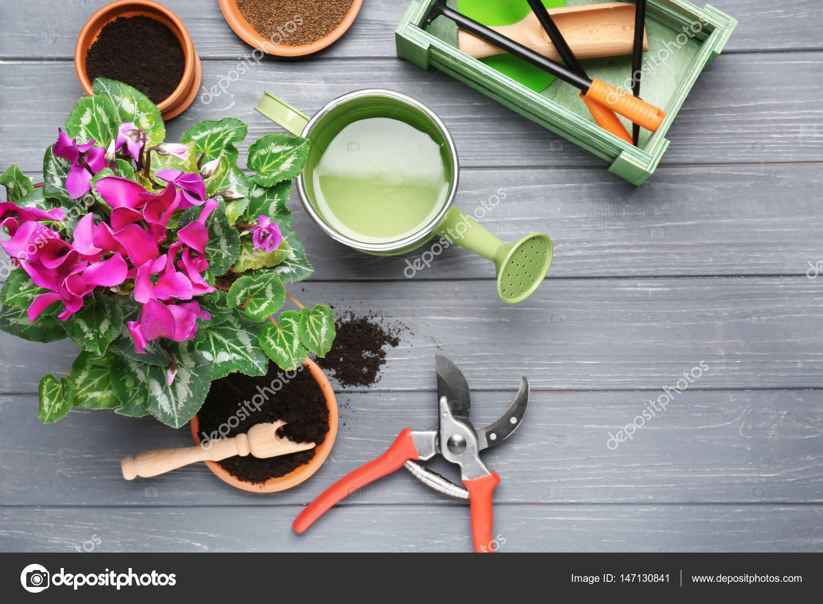 Beautiful flowers and gardener equipment — Stock Photo © belchonock ...