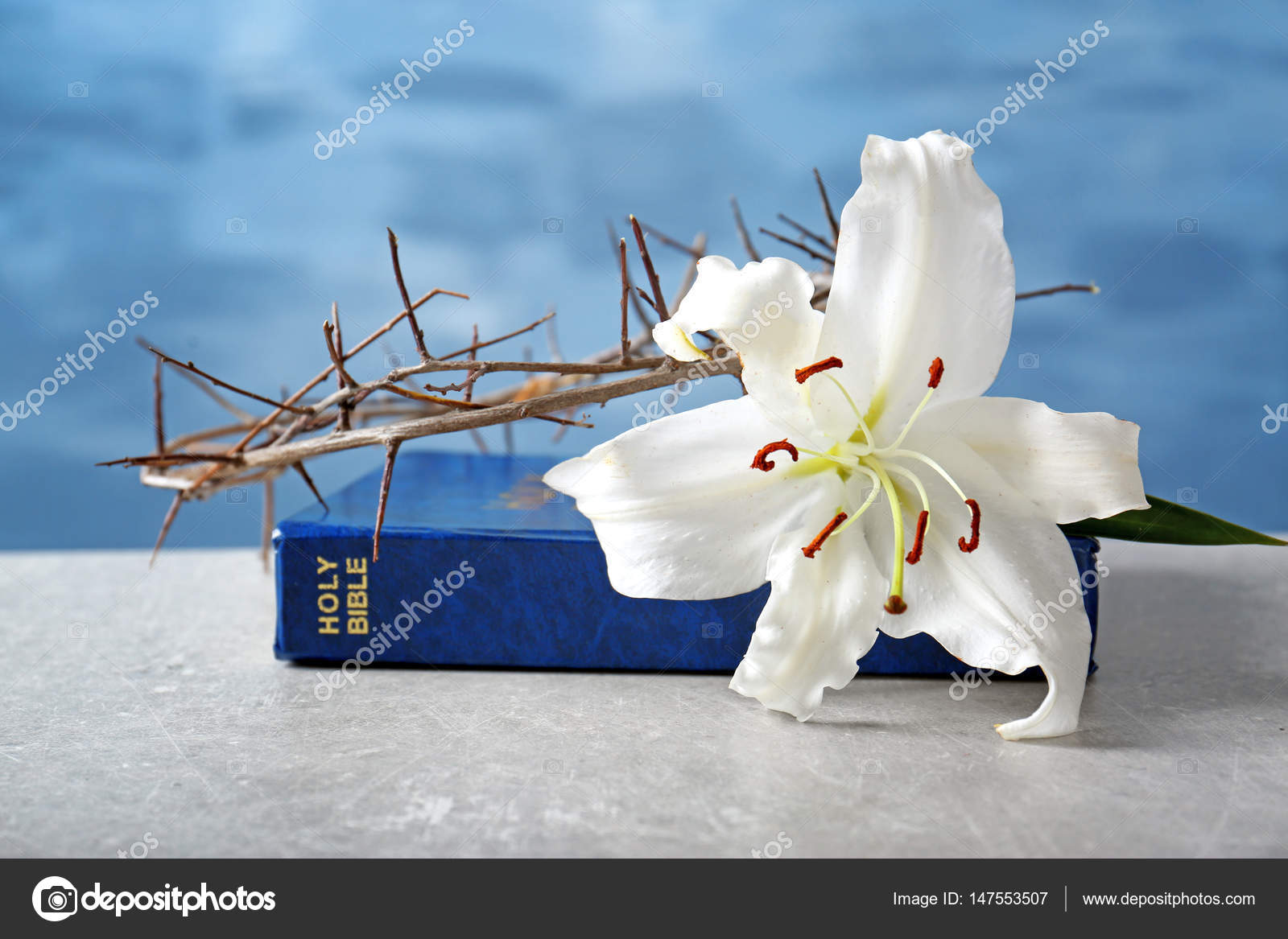 Holy Bible, lily and crown of thorns Stock Photo by ©belchonock 147553507
