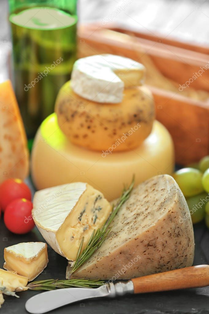 Diferentes tipos de queso 2023