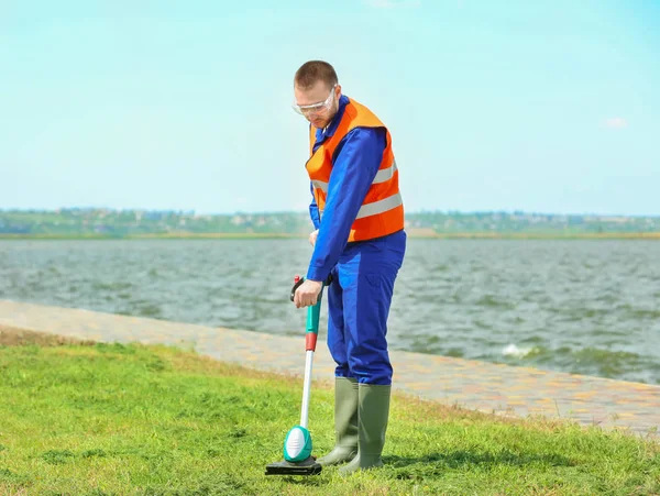 Grass roots Stock Photos, Royalty Free Grass roots Images | Depositphotos