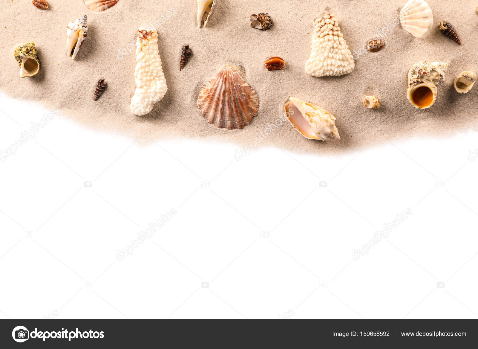 Sand with different shells — Stock Photo © belchonock #159658592