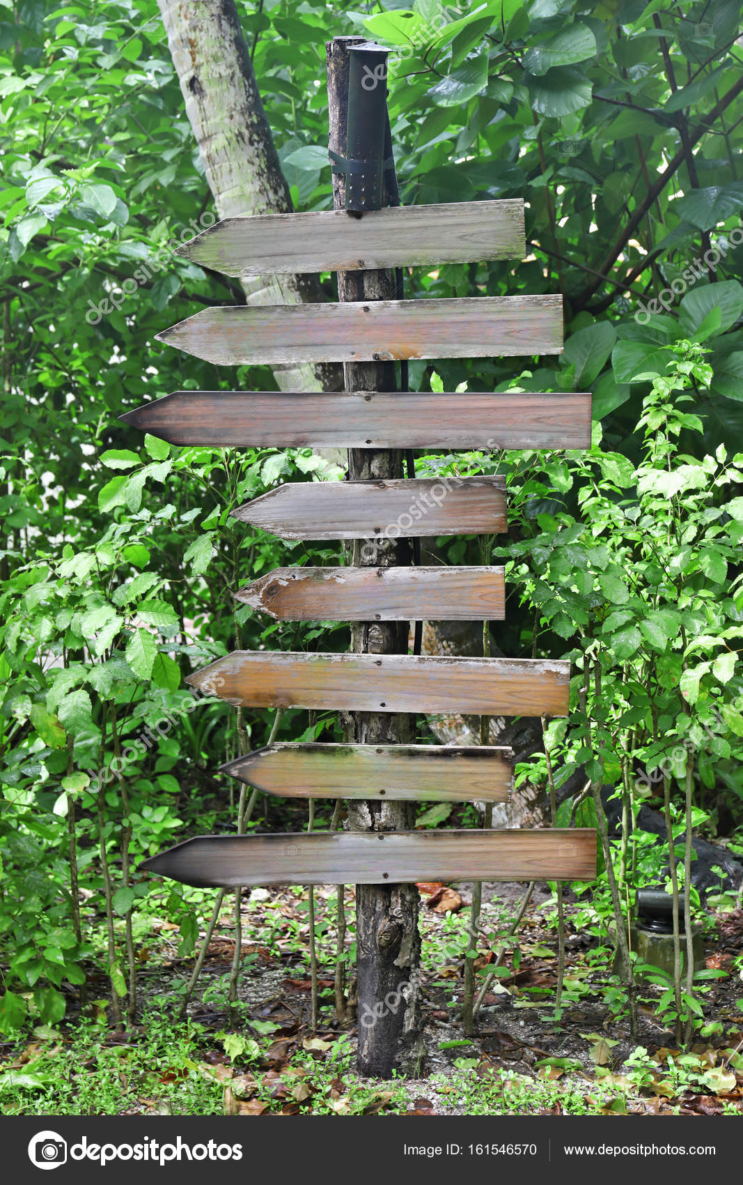 Blank directional signs — Stock Photo © belchonock #161546570