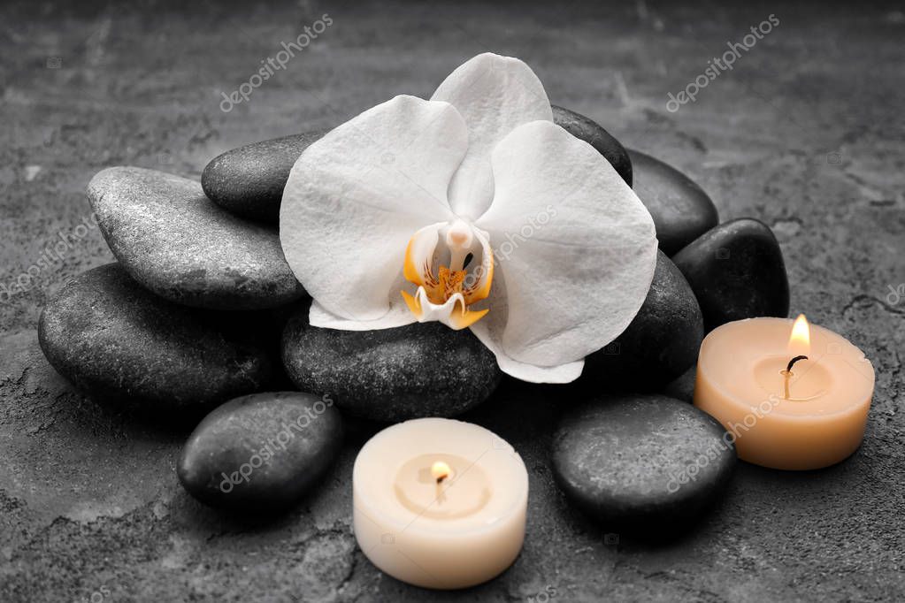 Composición con orquídea blanca hermosa 2024 Composición con orquídea blanca hermosa 2024