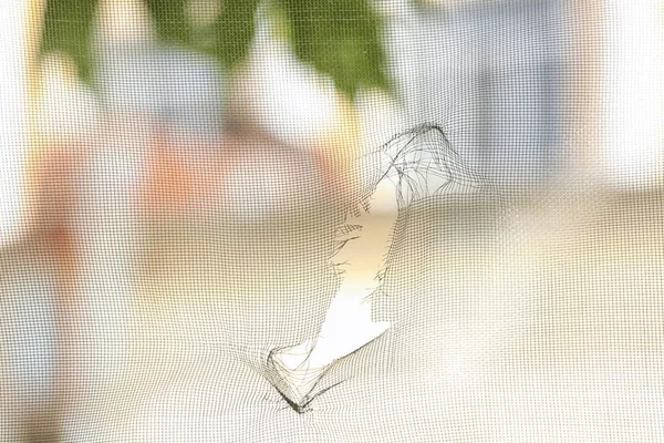 Ripped window screen Stock Photos, Royalty Free Ripped window screen ...