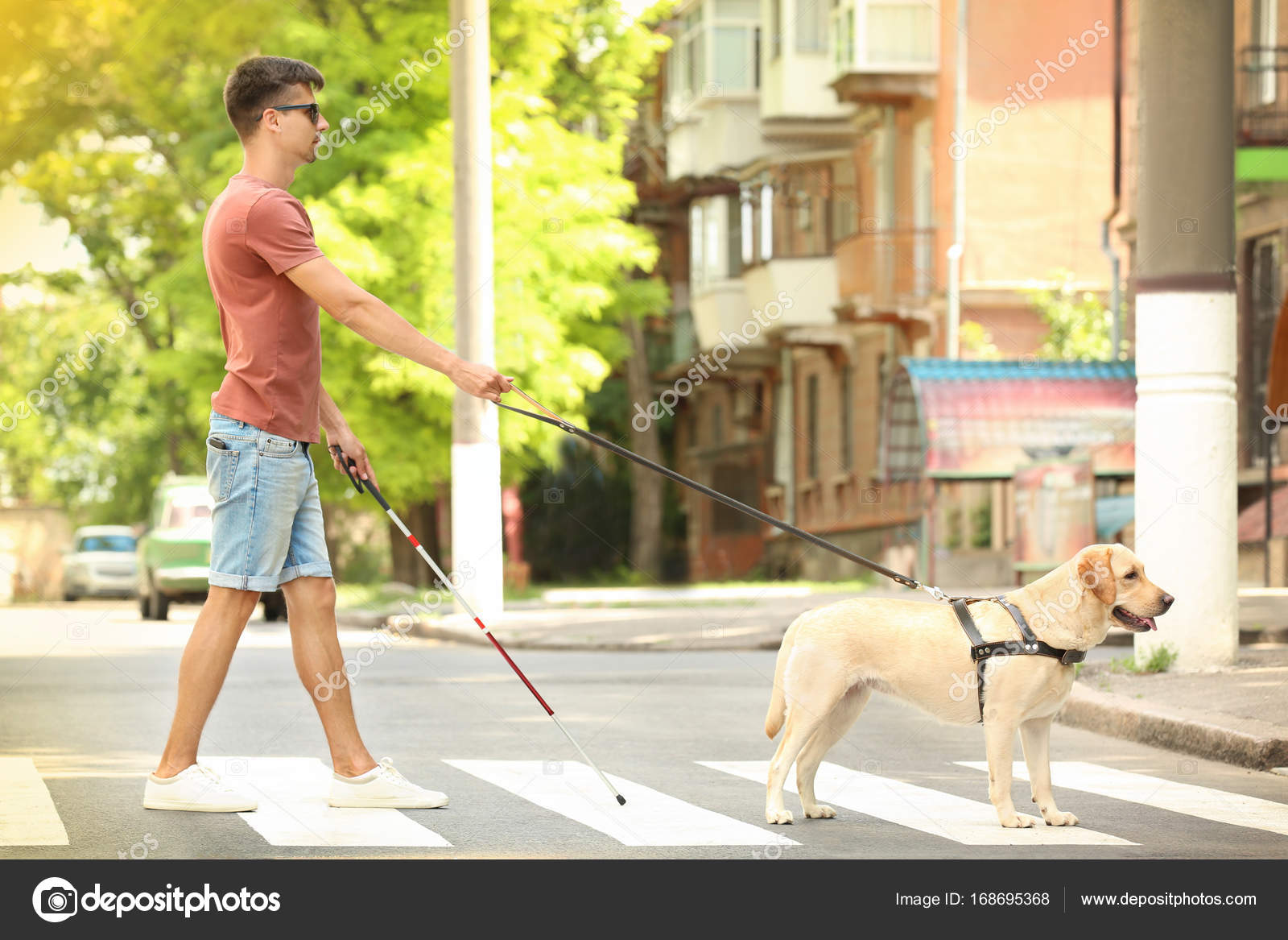 How Can A Dog Help A Blind Person