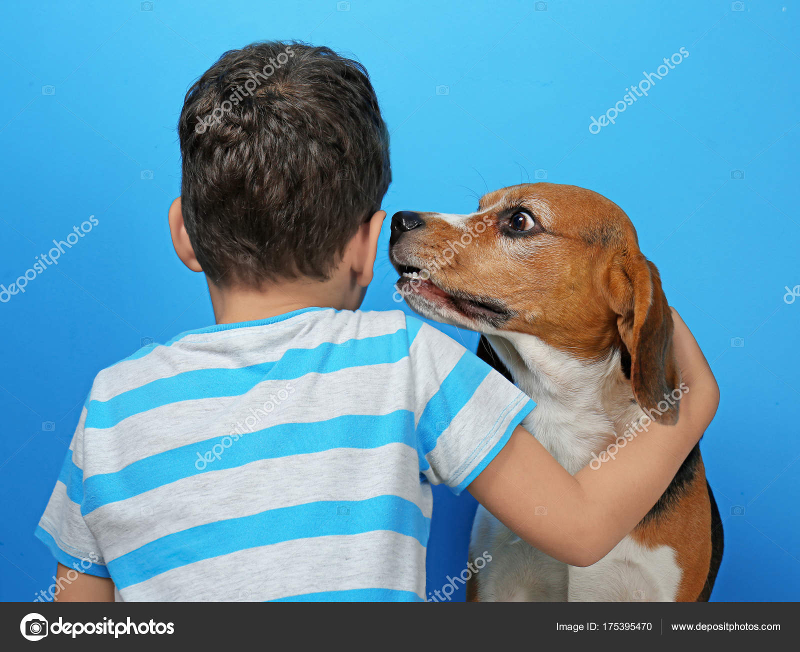 Cute boy with dog — Stock Photo © belchonock #175395470