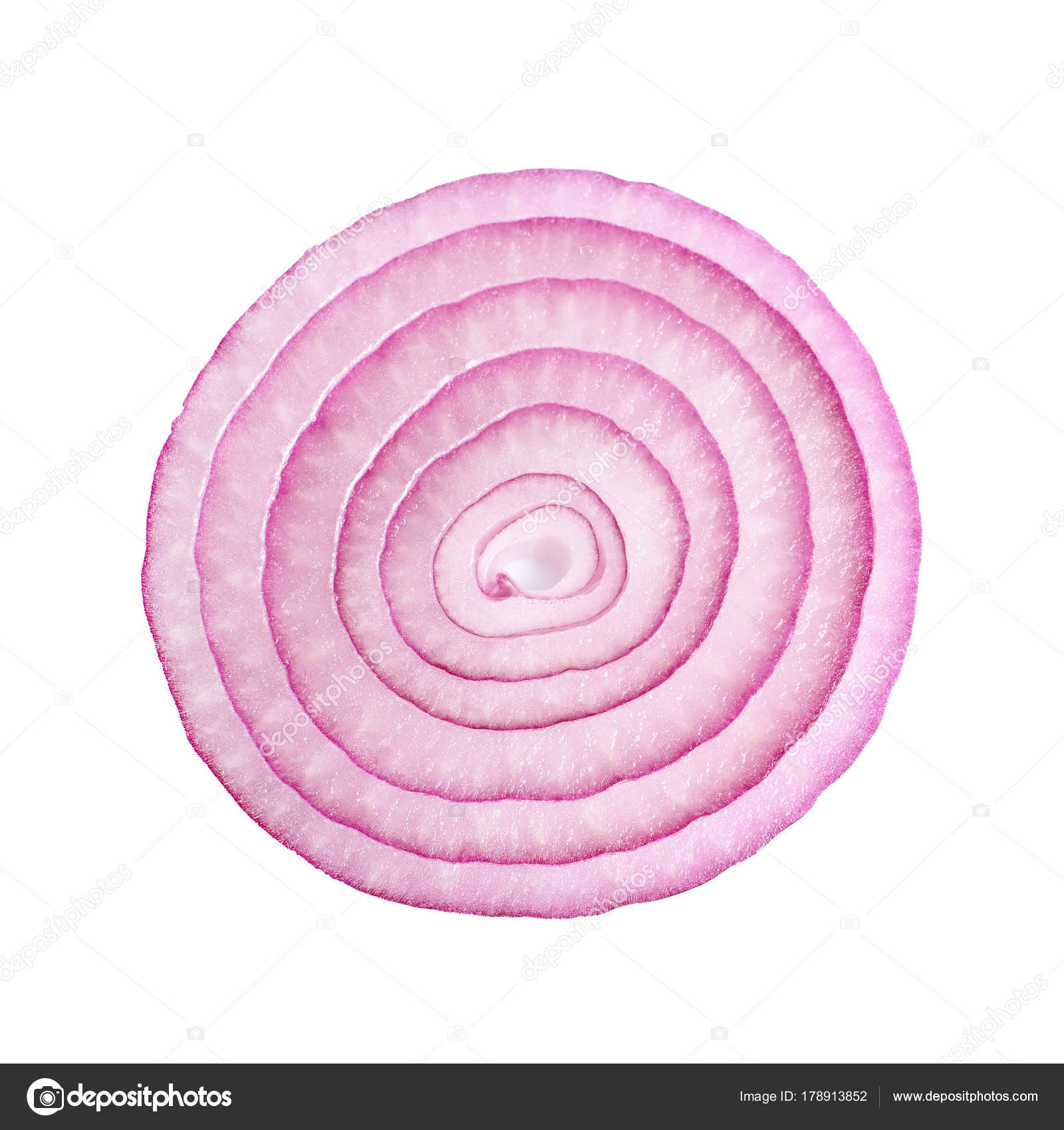 Sliced red onion Stock Photo by ©belchonock 178913852 Sliced red onion Stock Photo by ©belchonock 178913852