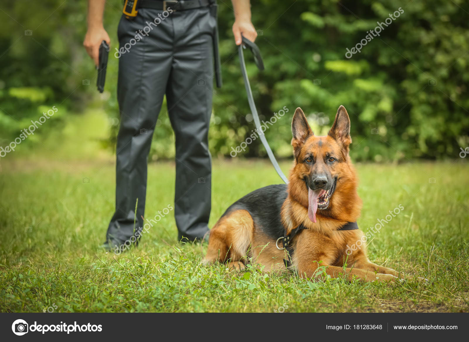 Security Guard Dog Park — Stock Photo © belchonock #181283648