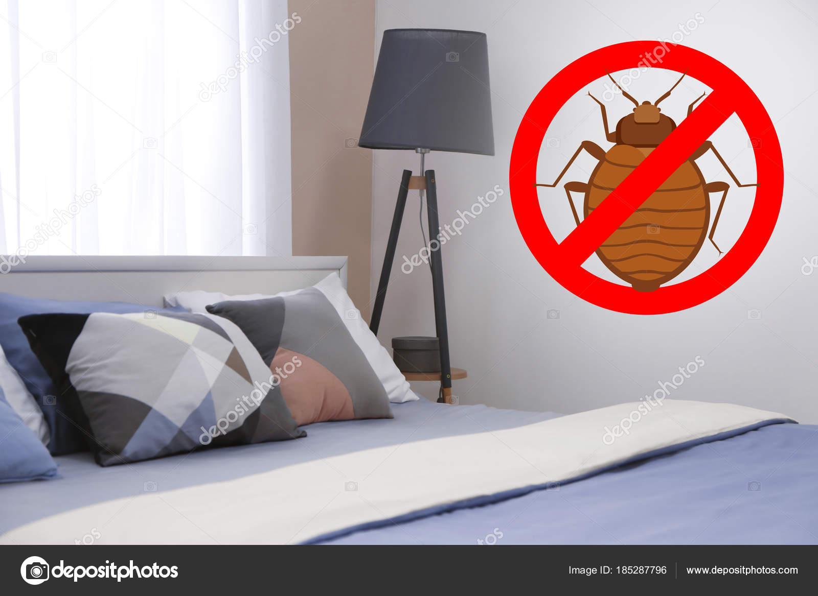 Stop Bug Sign Clean Bed Room ⬇ Stock Photo, Image by © belchonock ...