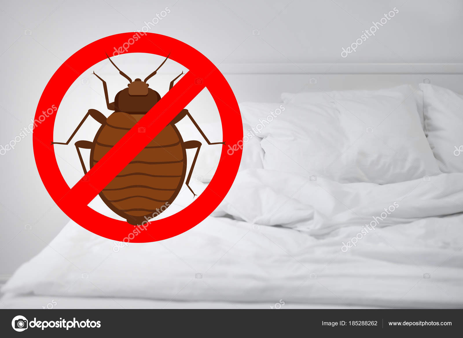 Stop Bug Sign Clean Bed Room Stock Photo by ©belchonock 185288262