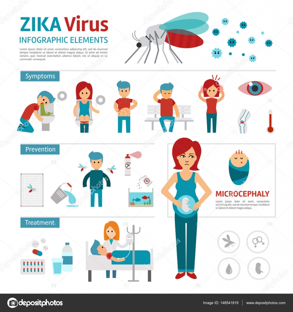 Zika virus infographic elements. Vector flat design illustration. Zika ...