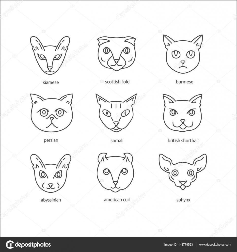 Cat breeds line icon set. Stock Vector by ©elinkim 148779523
