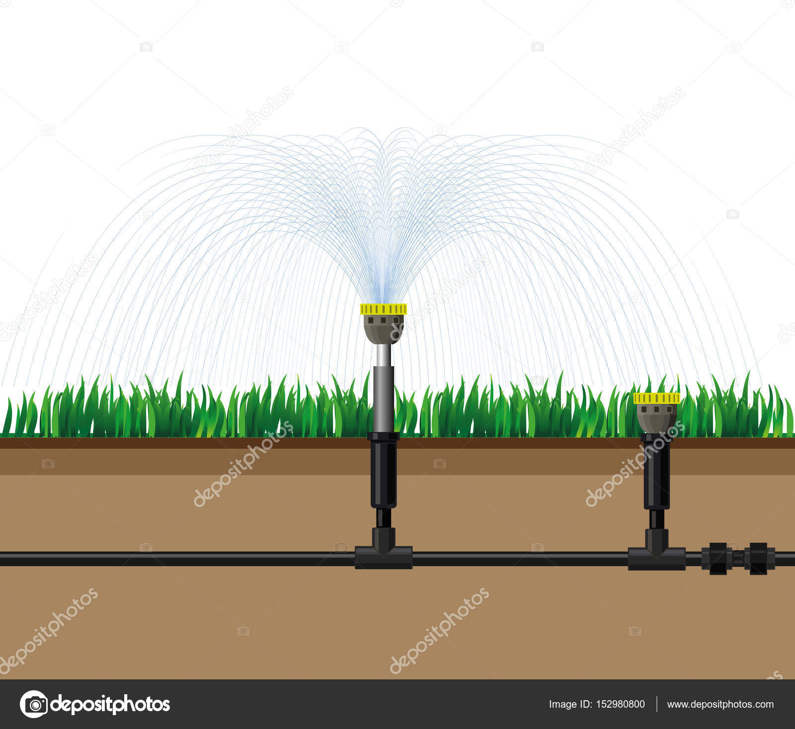 Automatic sprinklers watering Stock Vector Image by ©newgena #152980800
