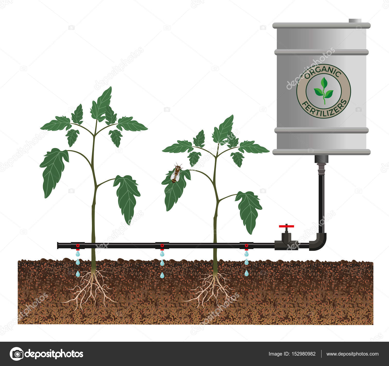 Riego Por Goteo Con Tubería De Pvc