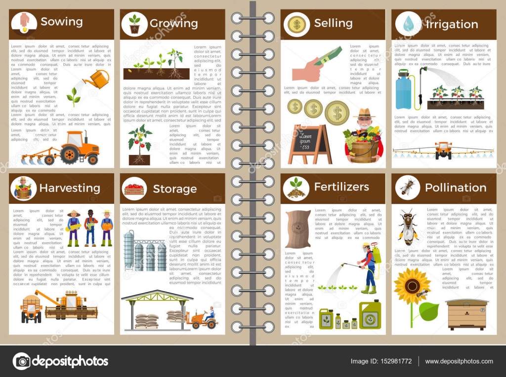 Agricultural practices vector Stock Vector Image by ©newgena #152981772