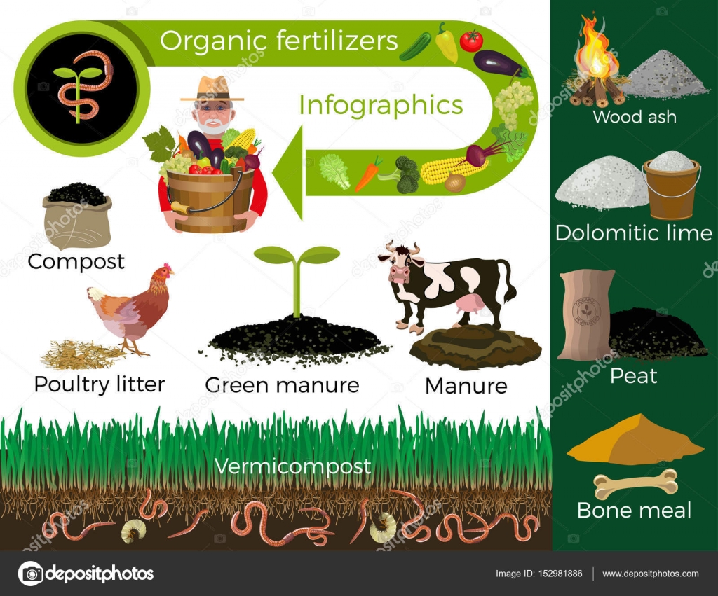 Organic fertilizers vector — Stock Vector © newgena #152981886