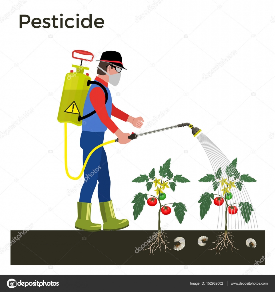 Farmer sprays pesticide Stock Vector by ©newgena 152982002