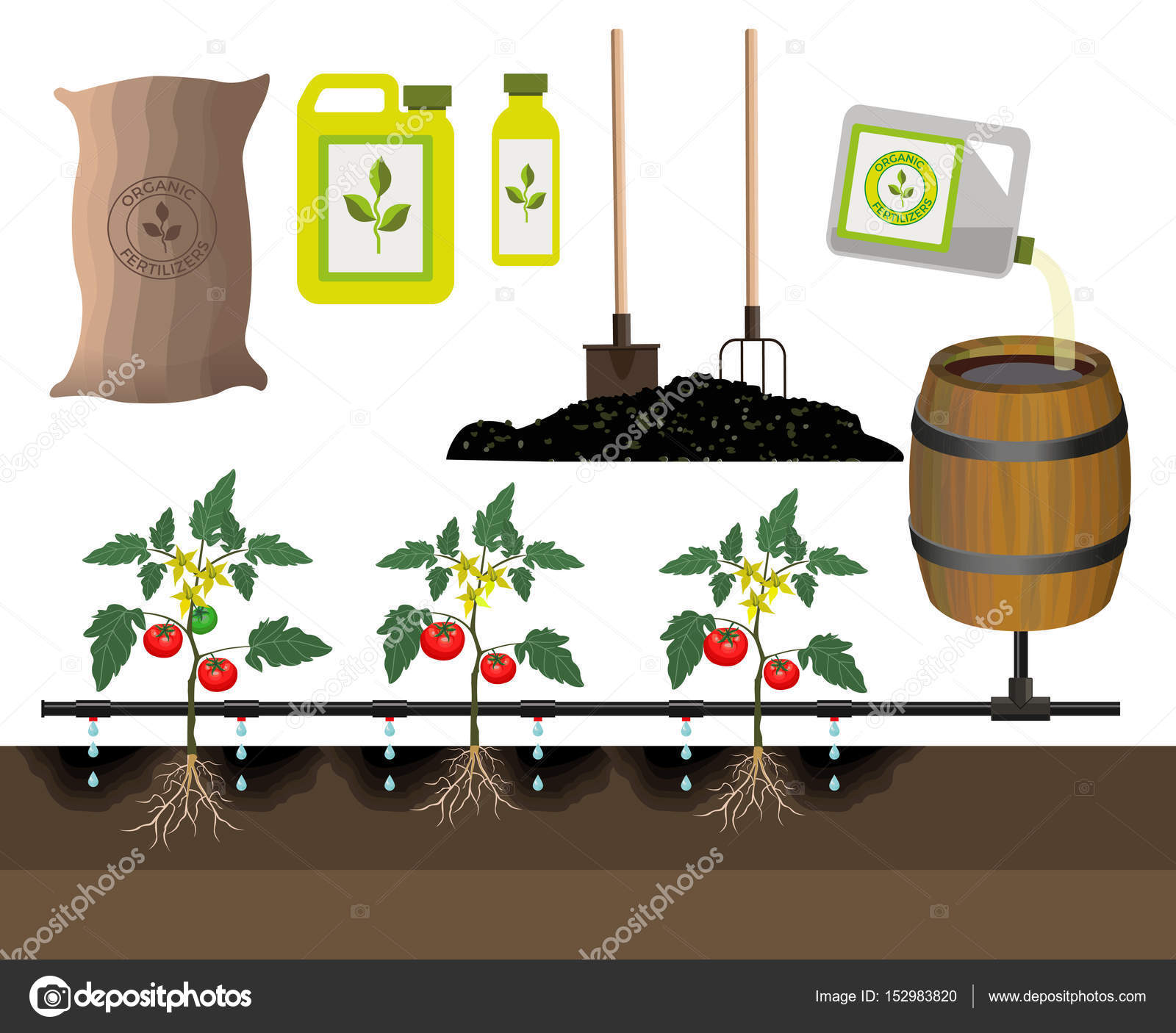 Drip irrigation vector Stock Vector by ©newgena 152983820