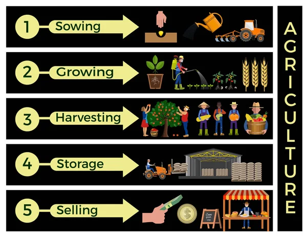 Agricultural practices vector Stock Vector Image by ©newgena #152981772