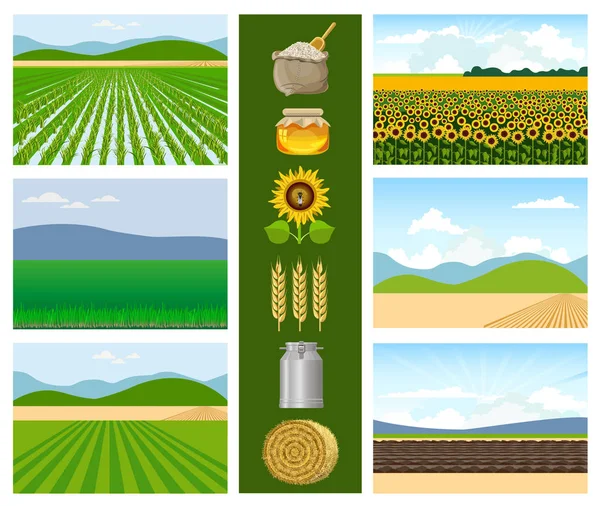 Rice field Stock Vectors, Royalty Free Rice field Illustrations ...