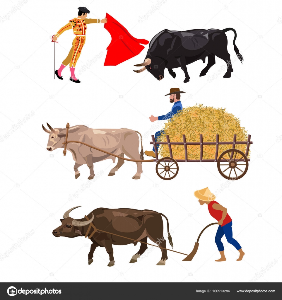 Cart And Bull Clipart