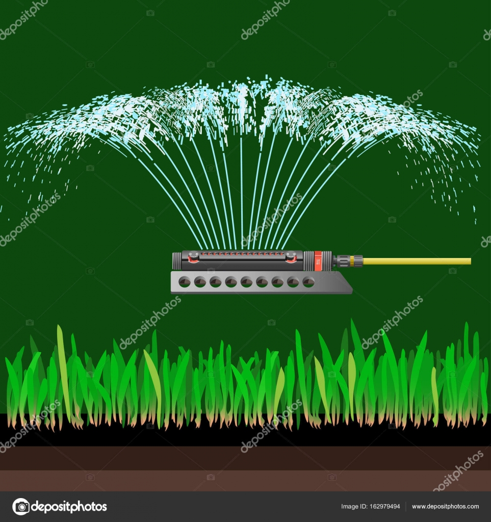 Water sprinkler in action Stock Vector Image by ©newgena #162979494