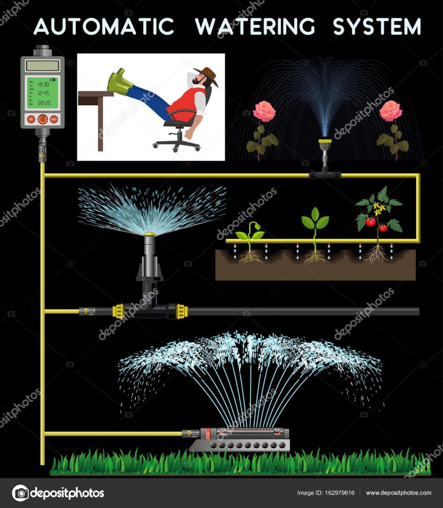 Automatic watering system ⬇ Vector Image by © newgena | Vector Stock ...