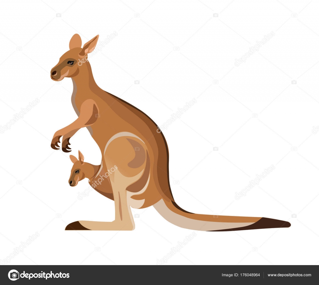 Kangaroo carrying a baby ⬇ Vector Image by © newgena | Vector Stock ...