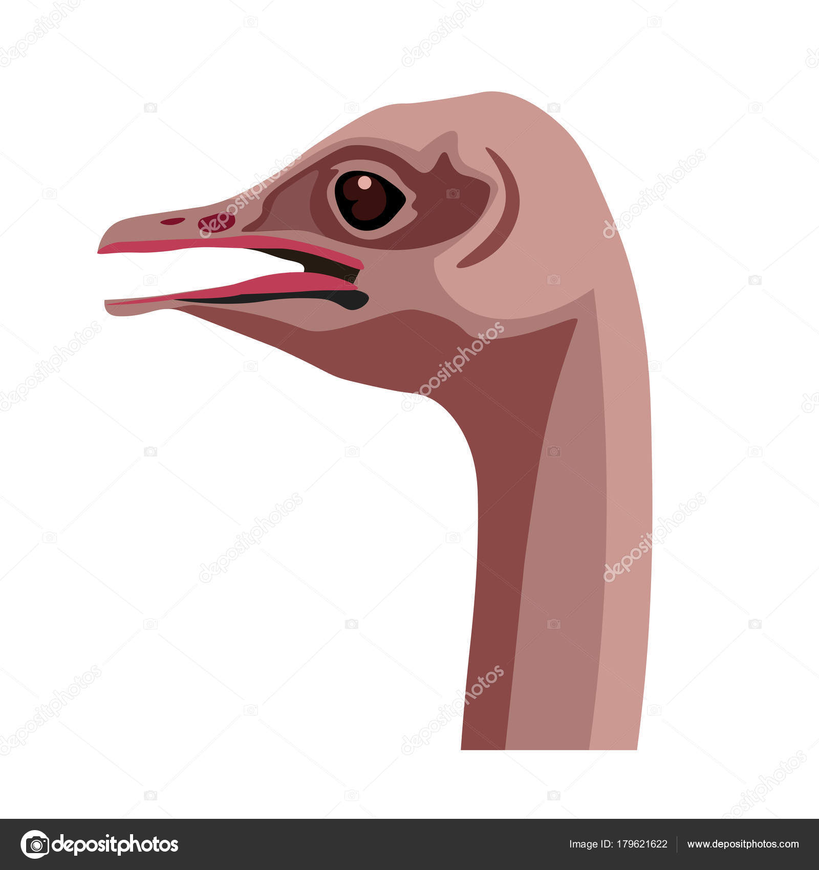 Ostrich head vector Stock Vector by ©newgena 179621622