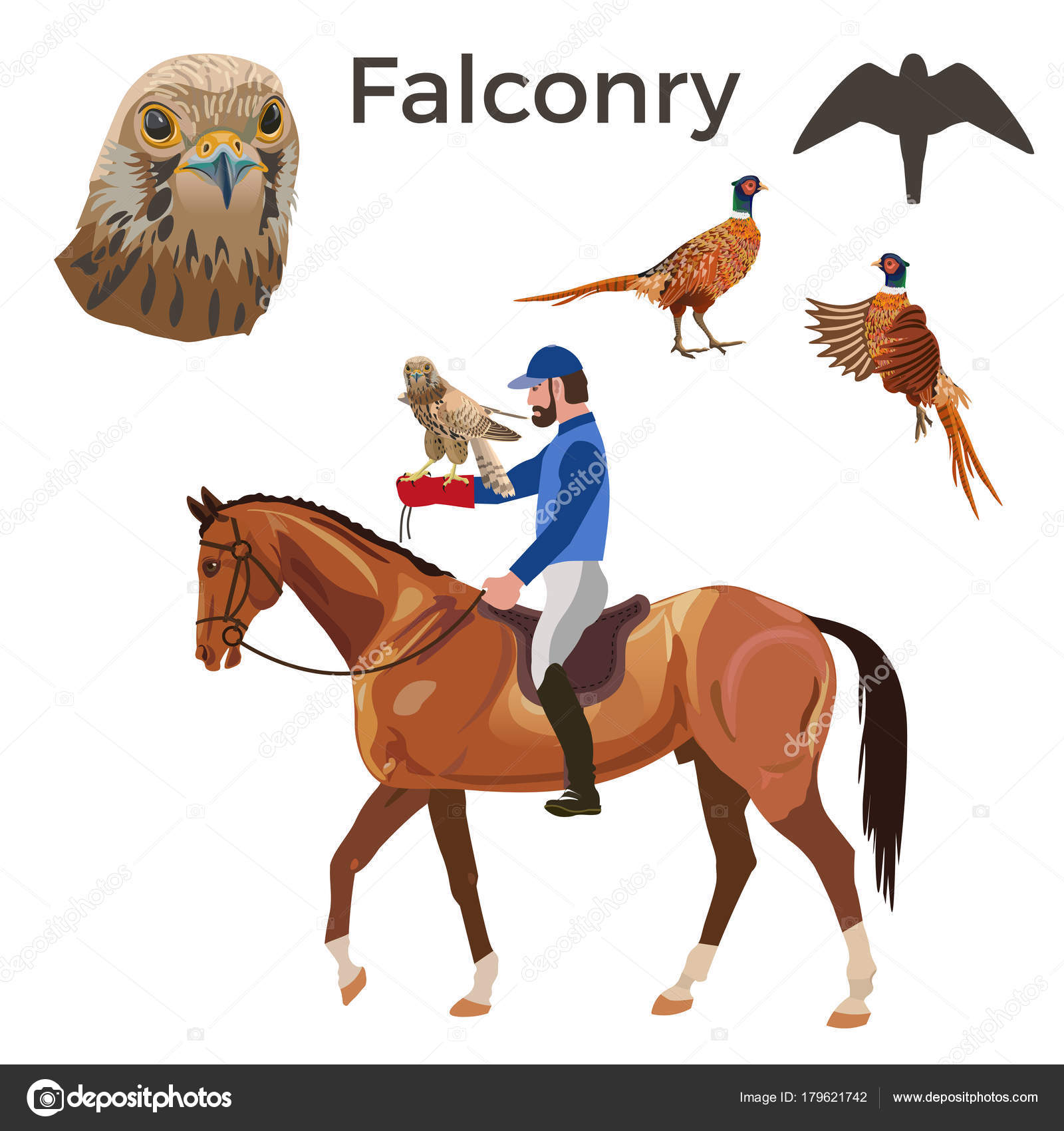 Falcon hunting set Stock Vector Image by ©newgena #179621742