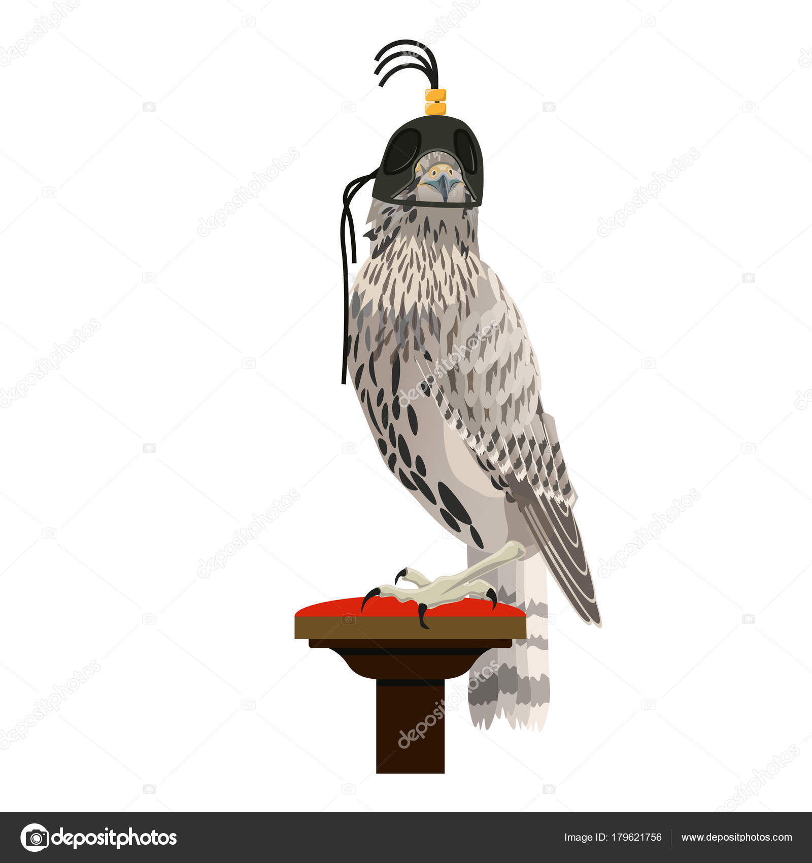 Falcon wearing hood Stock Vector Image by ©newgena #179621756