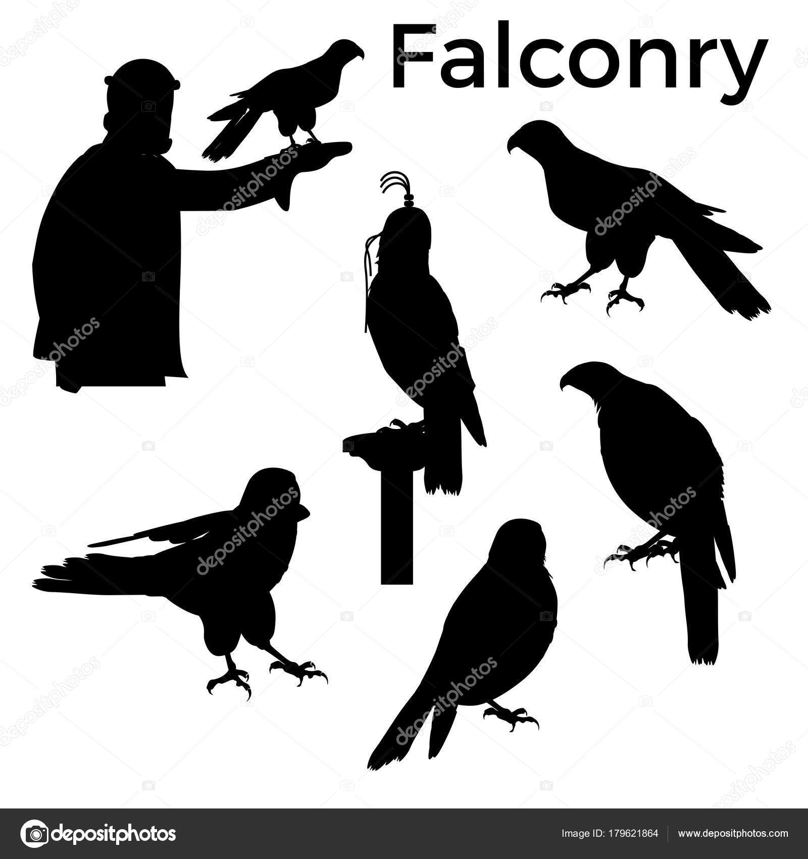 Falconry set vector Stock Vector Image by ©newgena #179621864