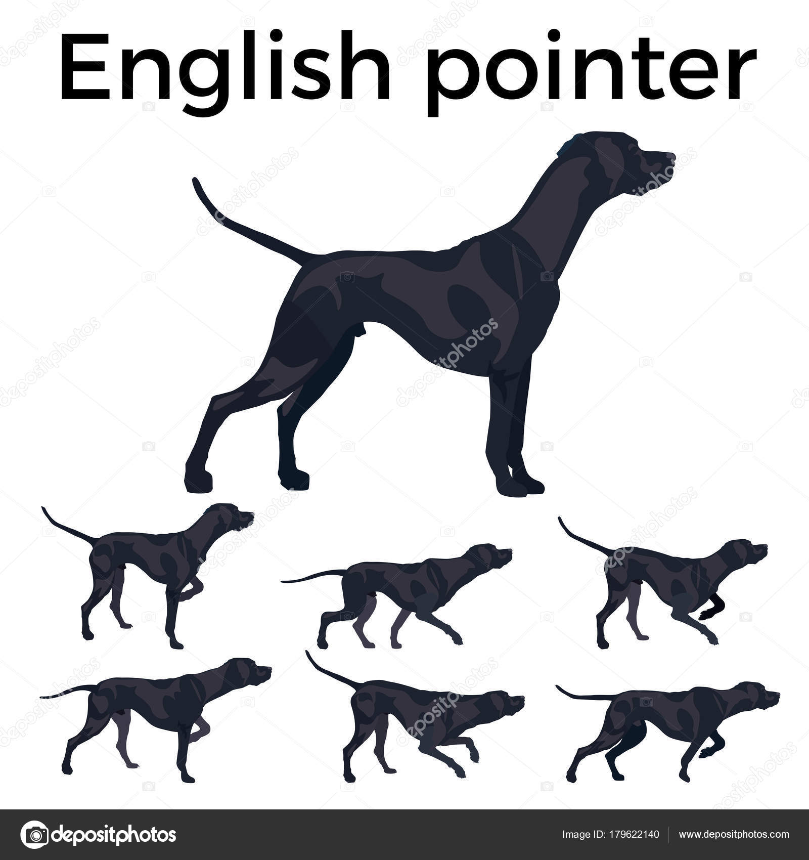 English Pointer Silhouette