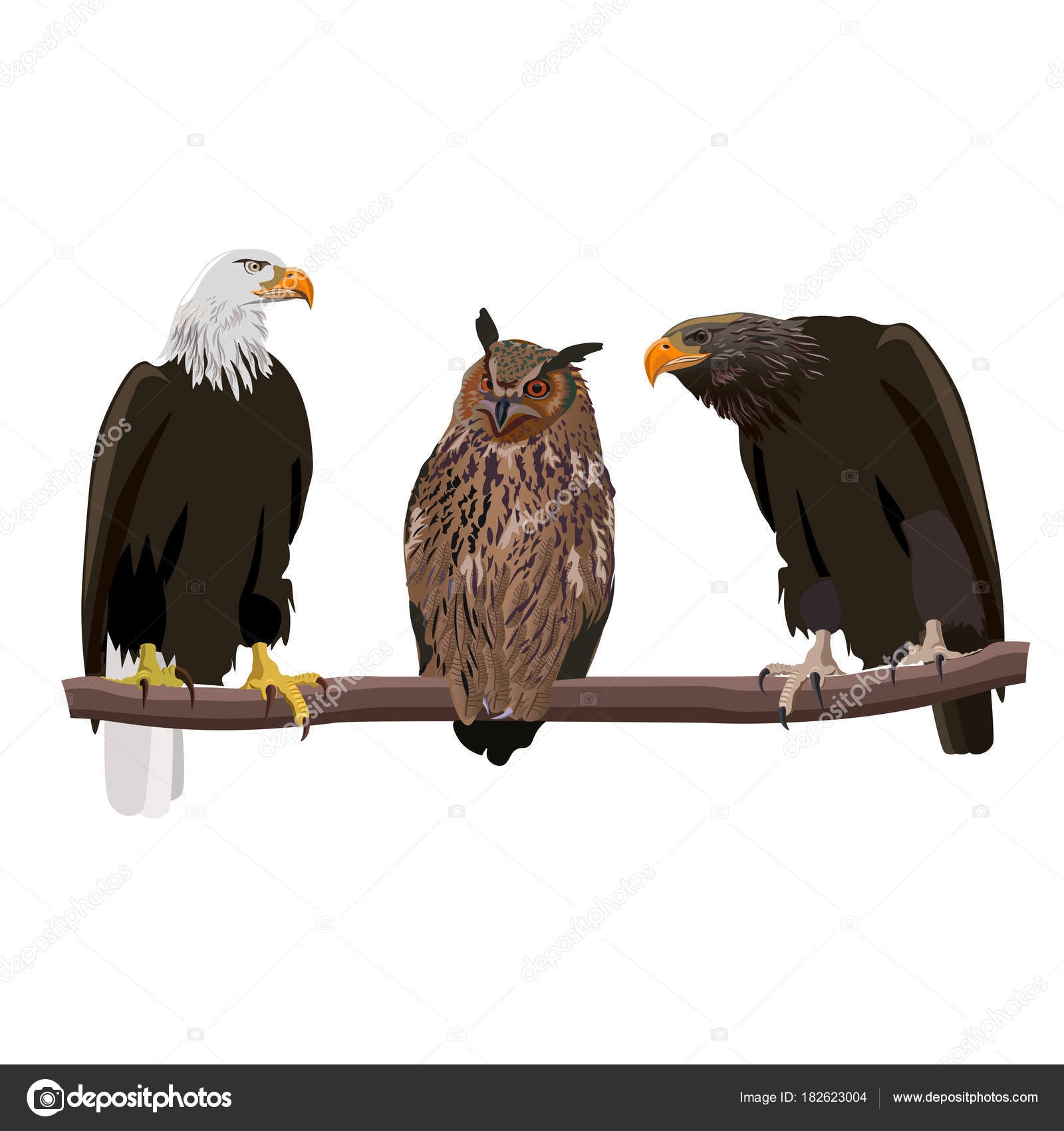 Birds of prey set Stock Vector by ©newgena 182623004