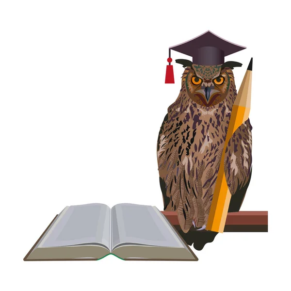 Smart owl with pencil Stock Vector Image by ©newgena #182624768