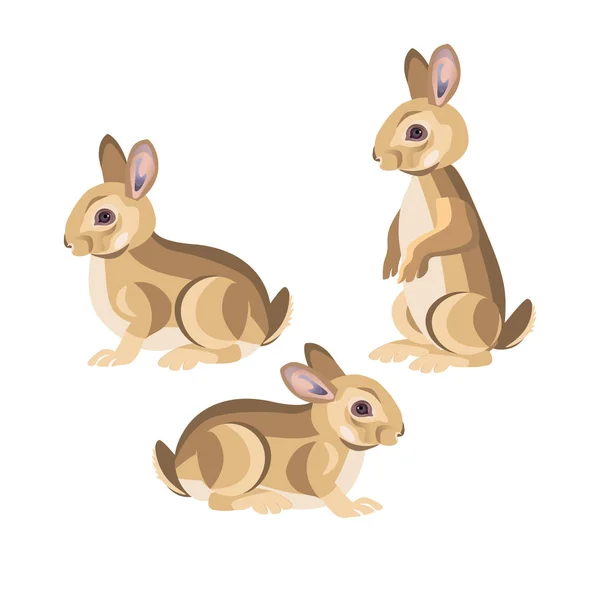 76 Three white rabbits Vector Images | Depositphotos
