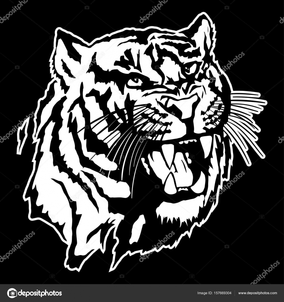Vector Illustration Of A Tigers Head — Stock Vector © Kovalchuk130195 157669304