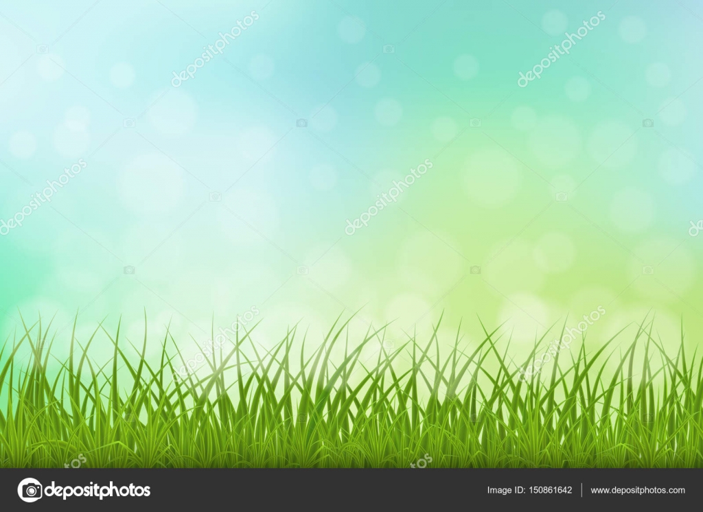 Vector green grass Stock Vector Image by ©sserg_dibrova #150861642