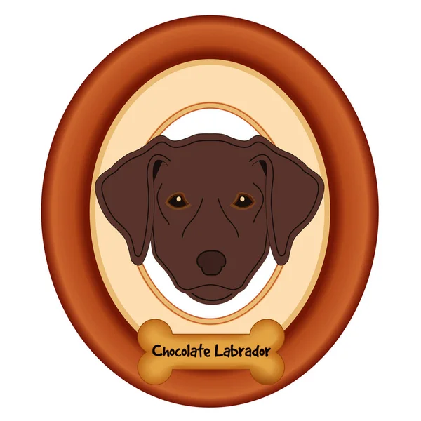 Chocolate labrador Vector Art Stock Images | Depositphotos