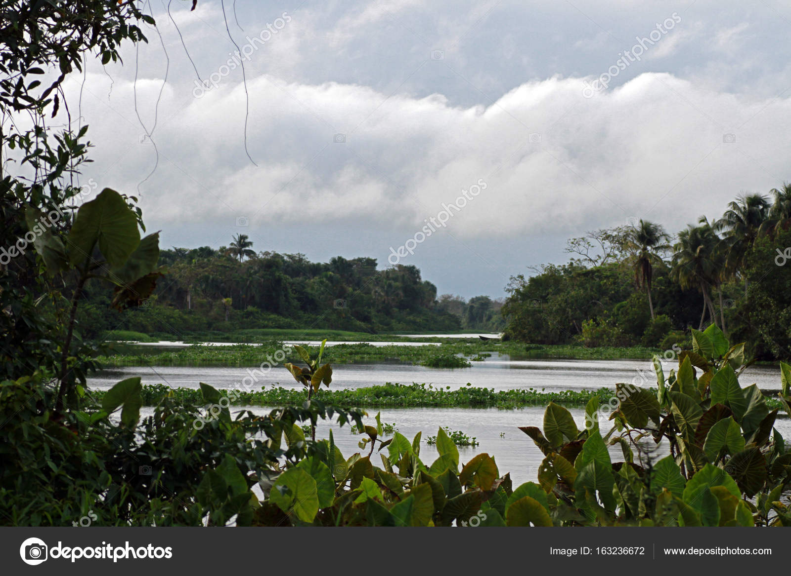Orinoco River Delta