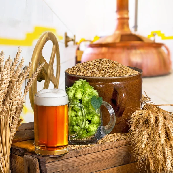 Beer glass and raw material for beer production — Stock Photo ...