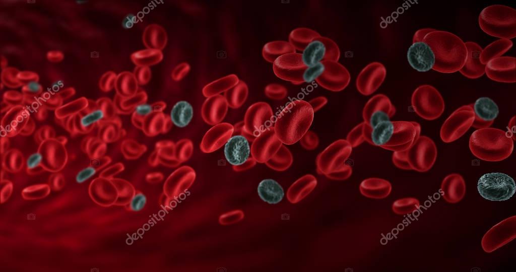 gl bulos rojos en una arteria con c lulas cancerosas enfermas, flujo dentro del cuerpo 2024