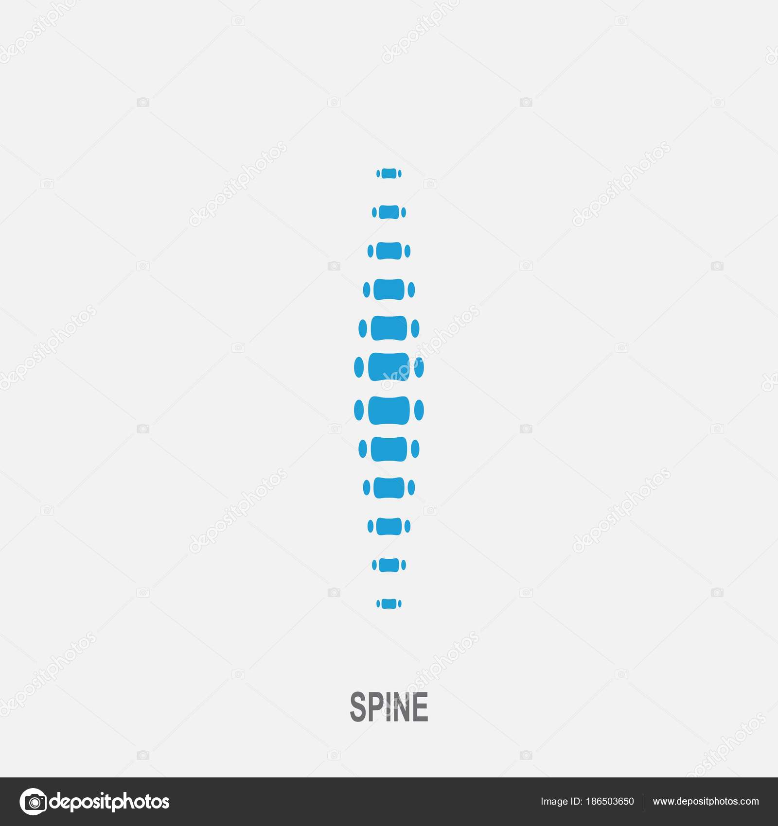 Blue Spine Diagnostics Symbol White Background Stock Vector Image by ...