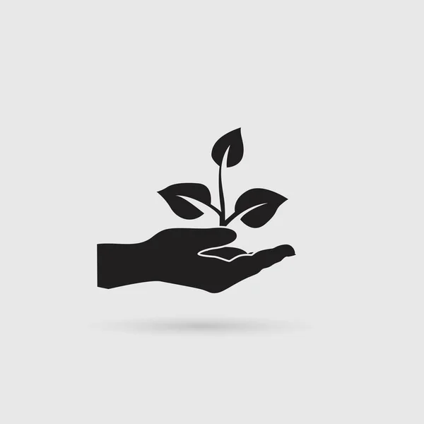 Icon: plant in hand | Sprout Hand Icon Plant Hand — Stock Vector ...